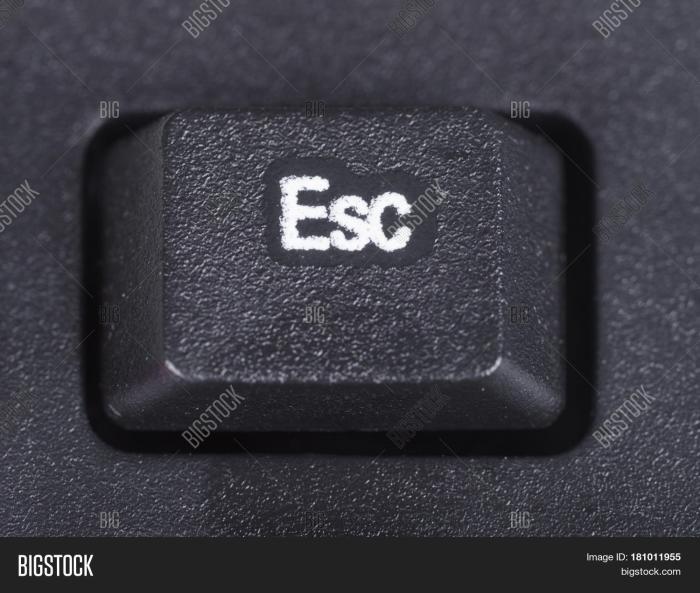 √ Tombol Esc: Kunci Serbaguna untuk Navigasi dan Pengeditan